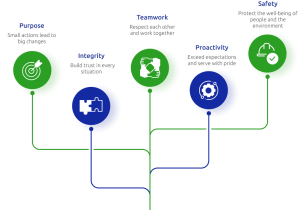 Discovering Our Company | Unveiling the Story Behind | BNL